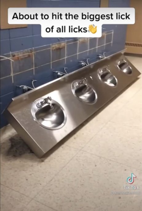 Top 10 Bathroom Victims of TikTok's "Devious Lick" Trend - Partition Plus